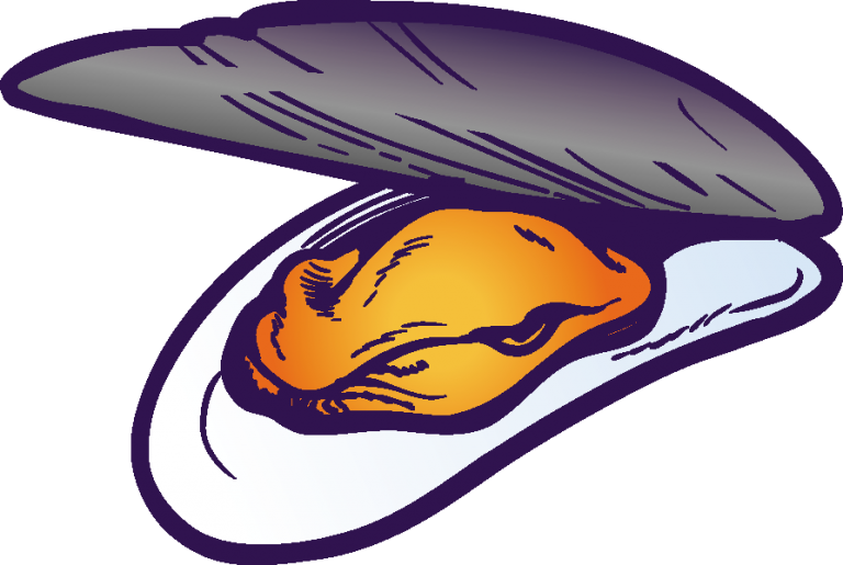 Flinders Mussels – Growers of quality blue mussels on the Mornington ...